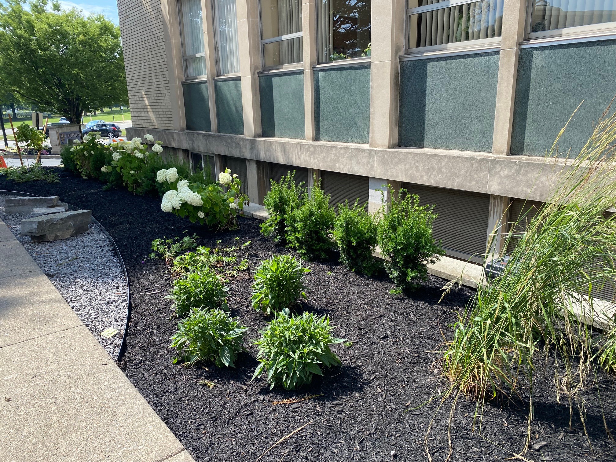 New Spaces and Fresh Places | Canisius University - Buffalo, NY