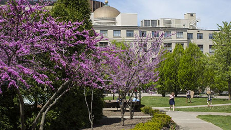 Visit & Events | Canisius College - Buffalo, NY